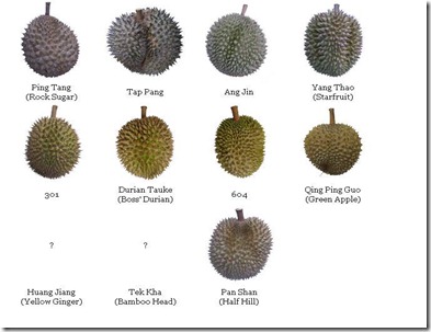 Nok Royak V: Malaysia Durian